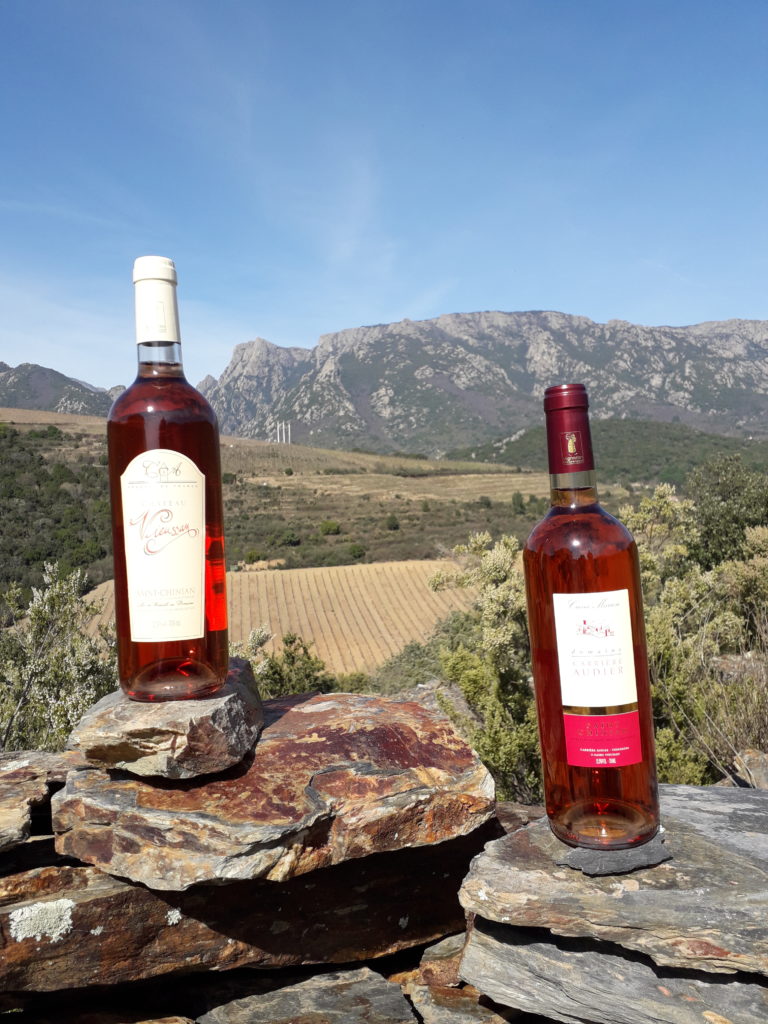 VINS ROSES